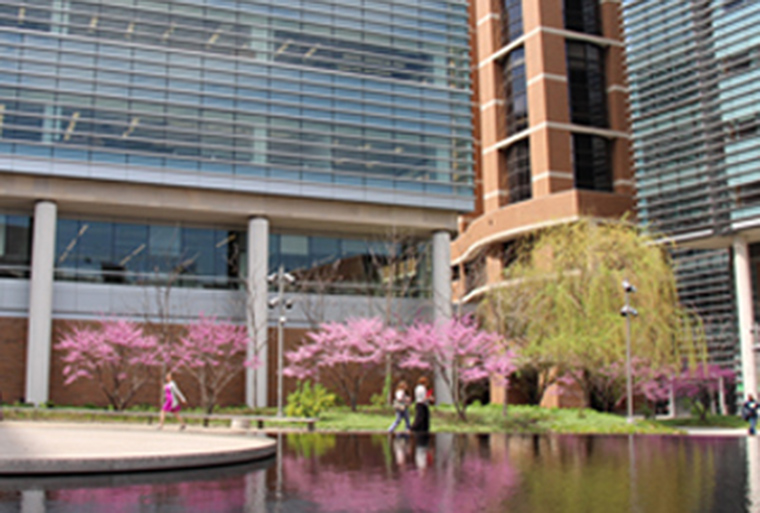 Making a difference in the lives of patients with IBD - Inflammatory ...